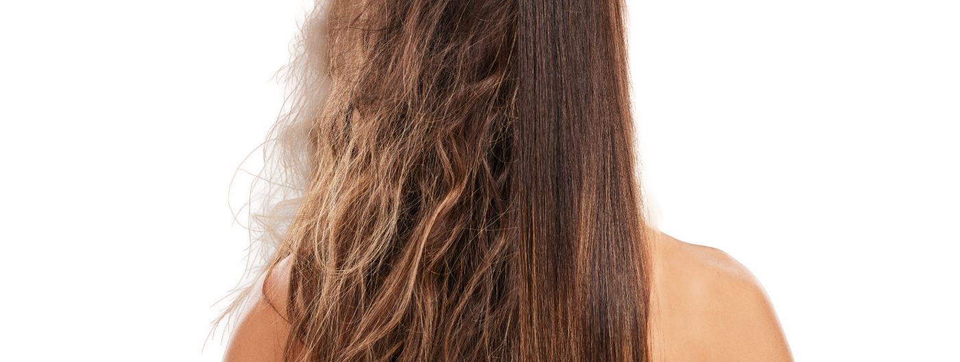 Frizz do Cabelo: o que é e como tratar - Blog Ada Tina